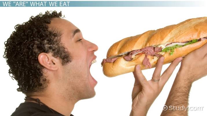 Digestive Enzymes | Definition, Types & Function - Lesson | Study.com