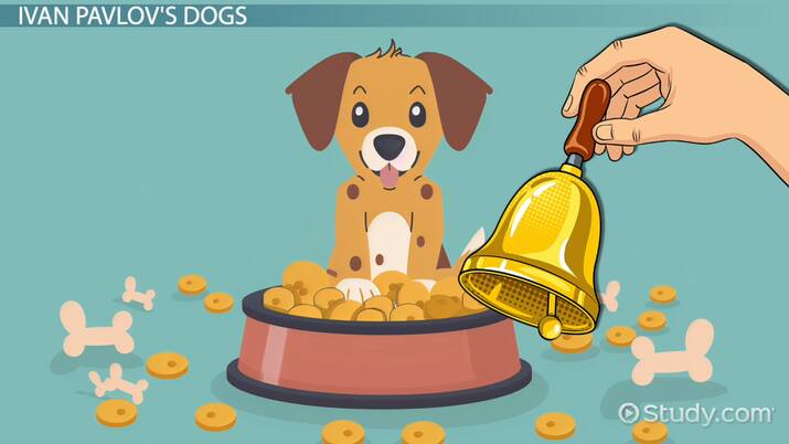 Classical Conditioning Definition, Principles & Examples - Video ...