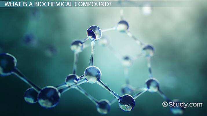 Biochemical Compounds | Definition, Classes & Uses - Lesson | Study.com