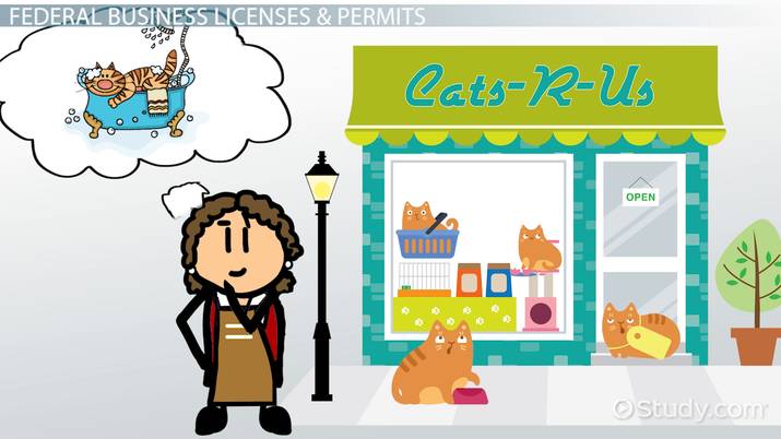 Business License | Definition, Purpose & Types - Lesson | Study.com