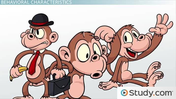 Living Primates: Evolution, Adaptation & Behavior - Lesson | Study.com