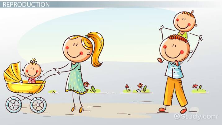 Fertility vs. Fecundity: Examples & Rate | What is Fecundity? - Lesson ...