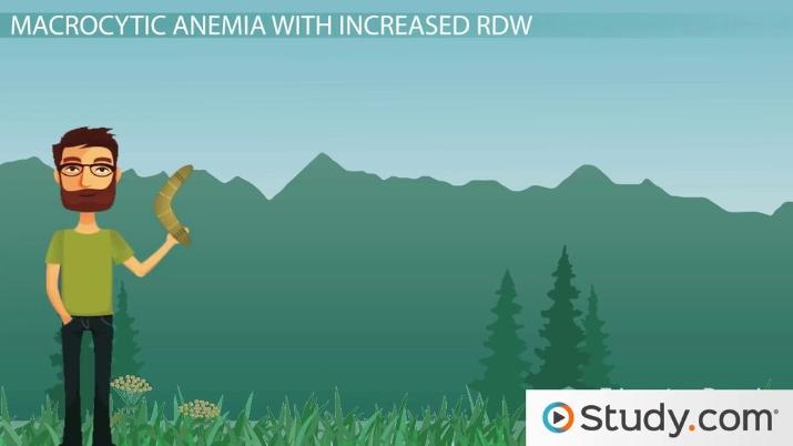 Macrocytic Anemia: Definition and Causes - Lesson | Study.com