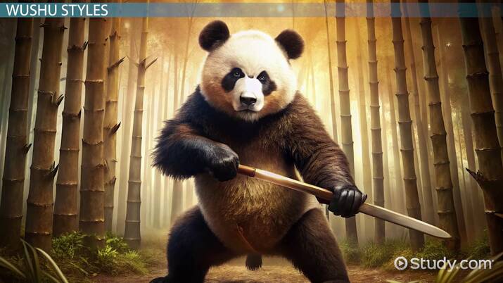 Chinese Martial Arts Origin Types Styles Video Study