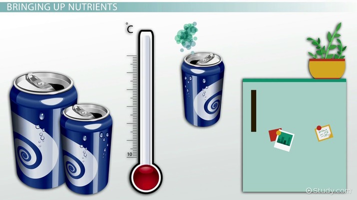 Ocean Upwelling | Definition, Occurrence & Zones - Lesson | Study.com