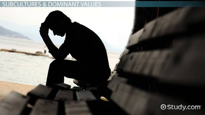Cohen's Subculture Theory | Status Frustration & Examples - Lesson ...