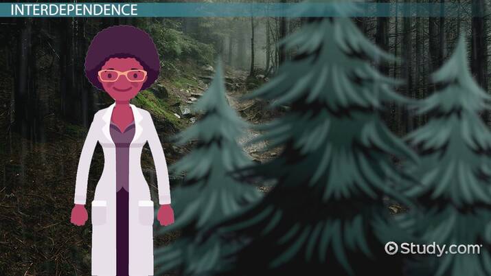 Themes in Biology: Diversity, Interdependence & Evolution - Lesson ...