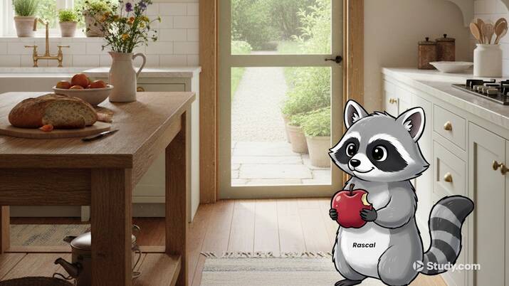 Rascal by Sterling North | Summary & Characters - Video | Study.com