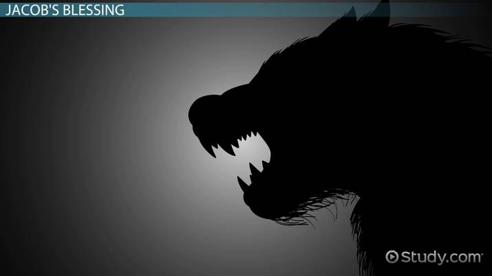 Tribe of Benjamin in the Bible | Overview, History & Symbol - Lesson ...