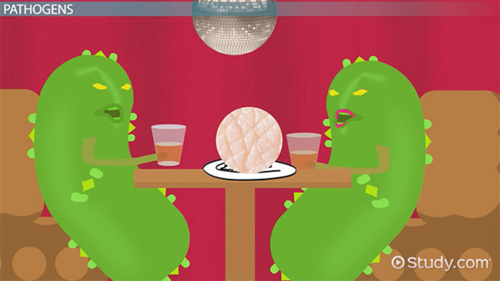 Pathogens, Viruses, Antibiotics & Vaccines - Lesson | Study.com