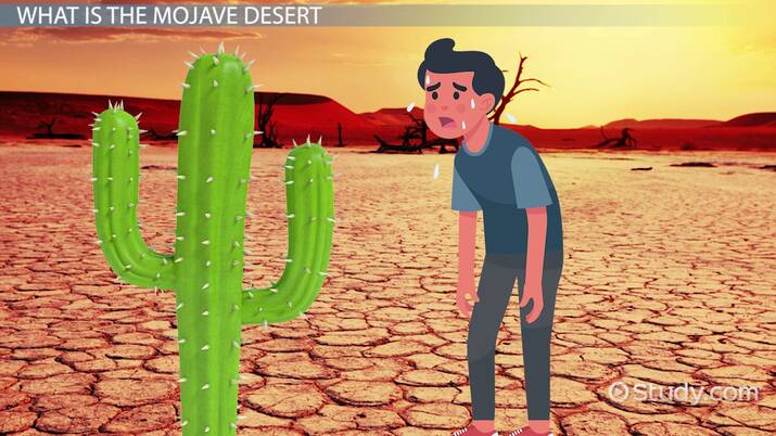 Desert Producers List