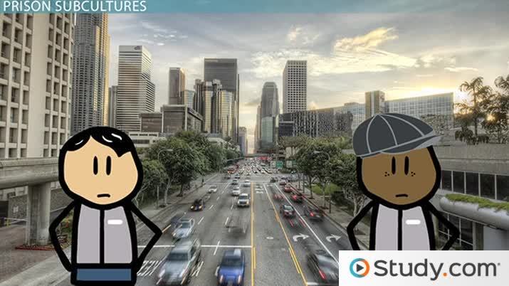 Prison Subcultures | Overview, Code & Argot - Lesson | Study.com