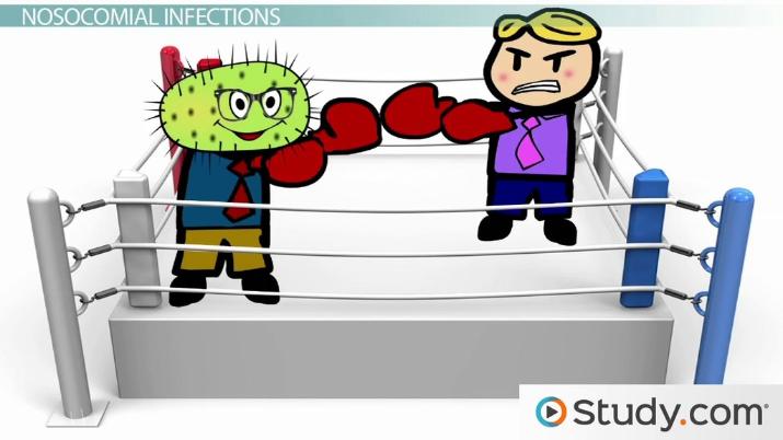 Pseudomonas Aeruginosa Features, Infections & Treatments - Lesson ...