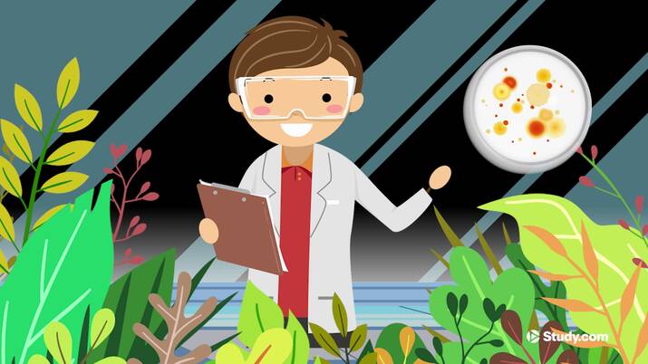 Anoxic | Definition, Environment & Conditions - Lesson | Study.com