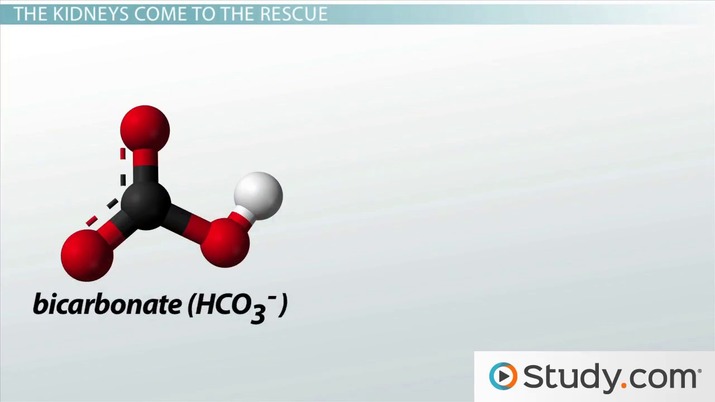 Respiratory Acidosis: Causes and Regulation - Lesson | Study.com