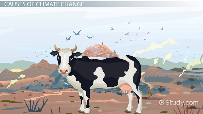Anthropogenic Climate Change | Definition, Examples & Effects - Lesson ...