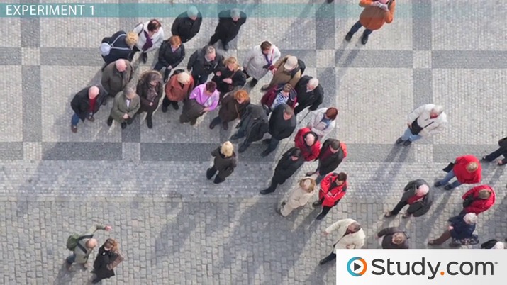 Using Experiments to Collect Social Research Data - Video | Study.com