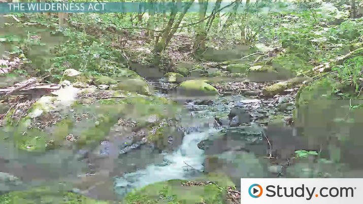 Wilderness Definition, Classification & Act - Video | Study.com