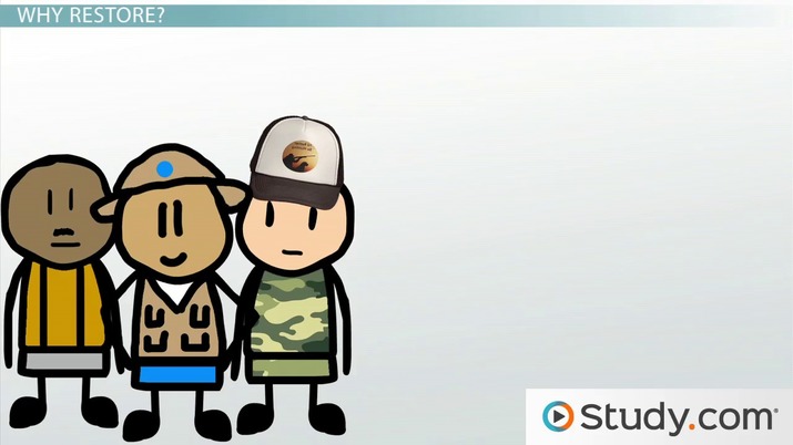 Ecology Restoration Techniques & Examples | What is Ecology Restoration ...