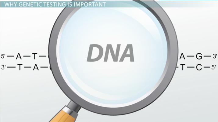 How Prenatal and Postnatal Genetic Testing Works - Lesson | Study.com