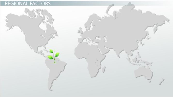 How Local & Regional Factors Impact Vegetation - Lesson | Study.com