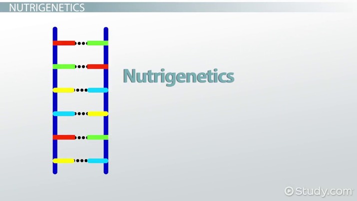 Nutritional Genomics | Definition, Disciplines & Examples - Lesson ...