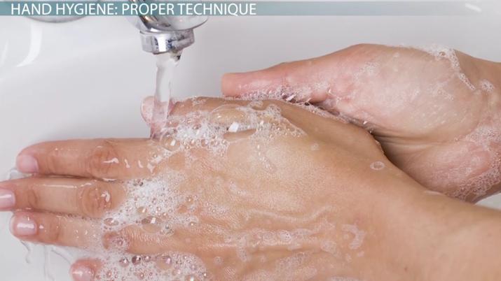 Hand-Washing & Cleaning in Veterinary Medicine - Lesson | Study.com