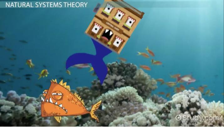 Chester Barnard's Management Theory: Overview - Lesson | Study.com