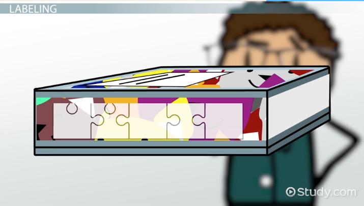 Packaging, Labeling & Marketing New Products - Lesson | Study.com