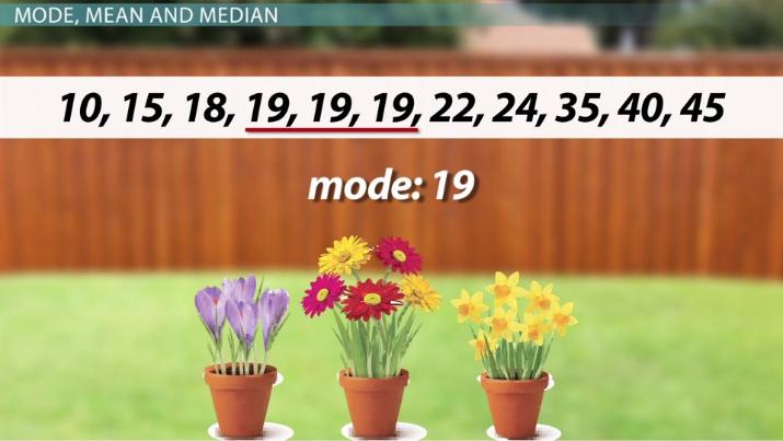 Measures of Central Tendency: Definitions & Practice - Lesson | Study.com