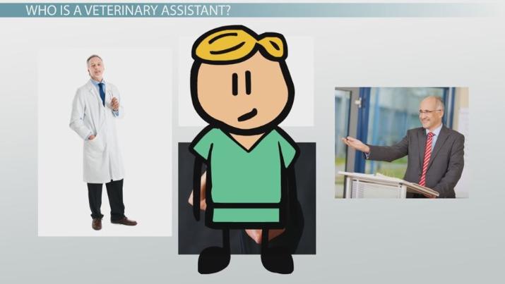 The Many Roles of a Veterinary Assistant - Lesson | Study.com