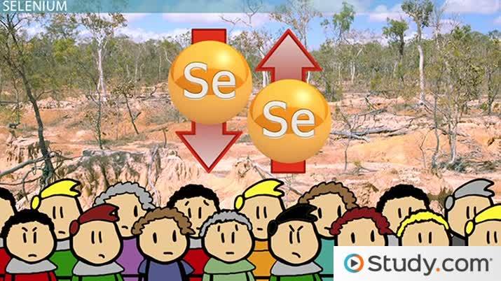 Selenium Deficiency | Symptoms & Causes - Video | Study.com