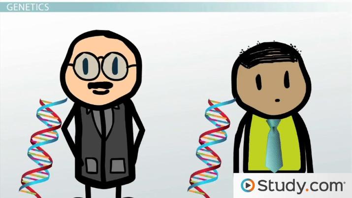 Sources of Biological Abnormalities: Genetics & Evolution - Video ...