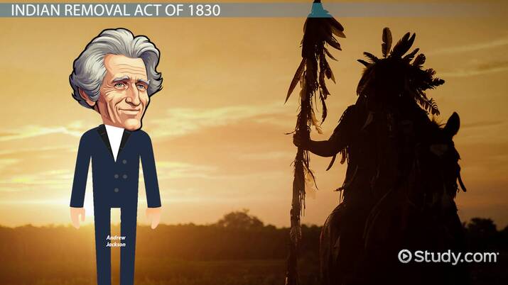 The Trail of Tears & U.S. President | History & Responsibility - Lesson ...