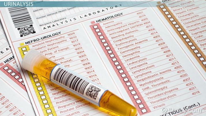 Terminology of Urinalysis - Lesson | Study.com