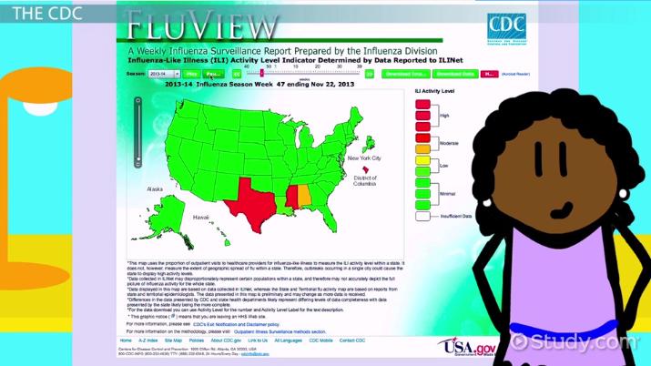 The Federal Government's Role in Public Health Information - Lesson ...