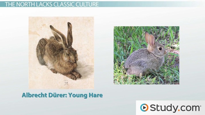 Northern Renaissance Art | Paintings & Characteristics - Lesson | Study.com