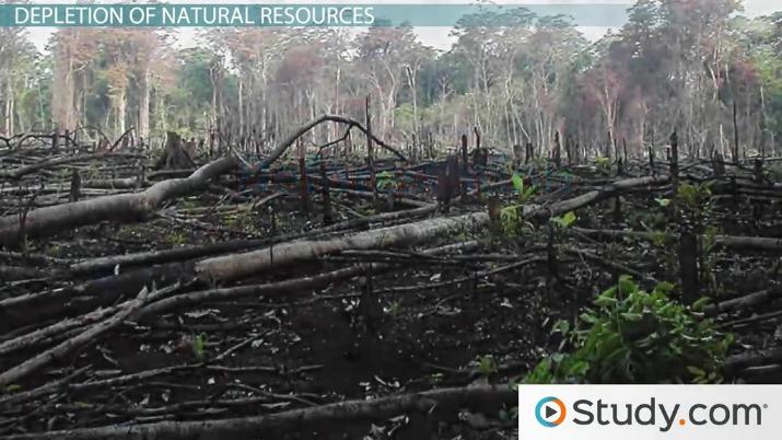 Human Behaviors that Threaten Environmental Sustainability - Lesson ...