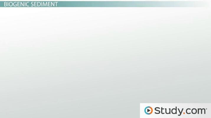 Sediment | Definition, Characteristics & Examples - Lesson | Study.com
