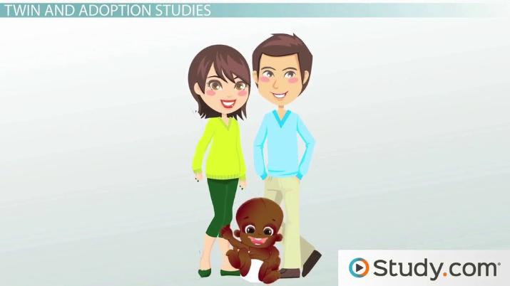 Genetics & Intelligence | Overview, Studies & Misconceptions - Lesson ...