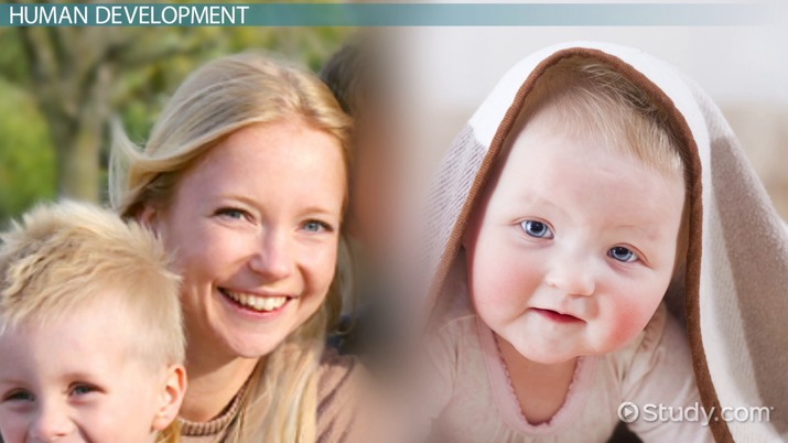 Biopsychosocial Approach to Development - Lesson | Study.com