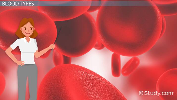 Kell Antigen System | Overview, History & Types - Lesson | Study.com