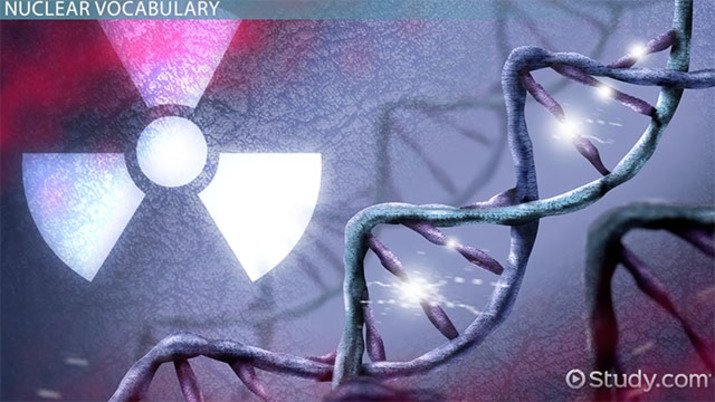 Vocabulary for Nuclear Medicine, Imaging & Scanning - Lesson | Study.com