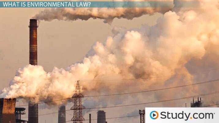 What Is Environmental Law? - Principles, Issues & Policy - Lesson ...