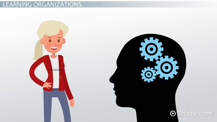 How Learning Organizations Use Mental Models - Lesson | Study.com