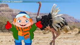 Peacock Adaptations: Lesson for Kids - Lesson | Study.com