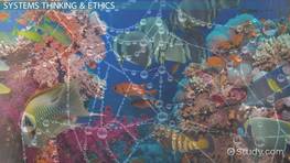 Quiz & Worksheet - Systems Thinking & Environmental Ethics | Study.com