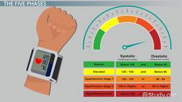 Peripheral Pulses Scale