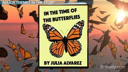 Quiz & Worksheet - In the Time of the Butterflies Themes & Analysis ...