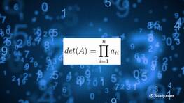 Quiz & Worksheet - Matrix Invertibility and Determinants | Study.com